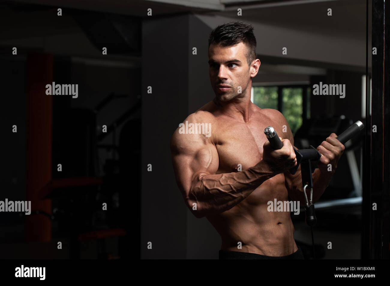 Muscular exercise hi-res stock photography and images - Alamy