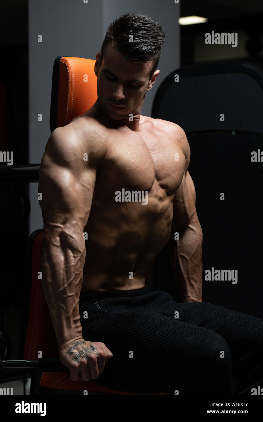 Handsome Muscular Fitness Bodybuilder Doing Heavy Weight Exercise For Triceps On Machine With ...