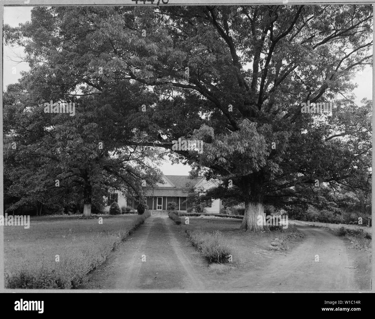 Coosa Valley, Alabama. Farm home of 1300 acre place abandoned.; Scope ...