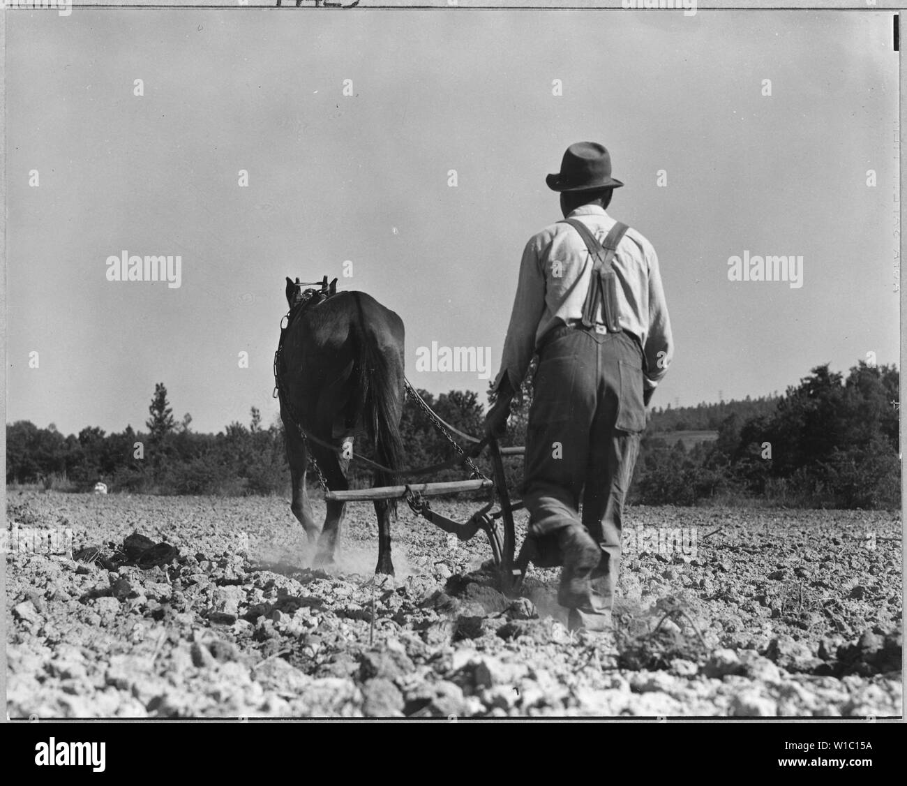 Coosa Valley, Alabama. Farm activity near Talladega; Scope and content ...