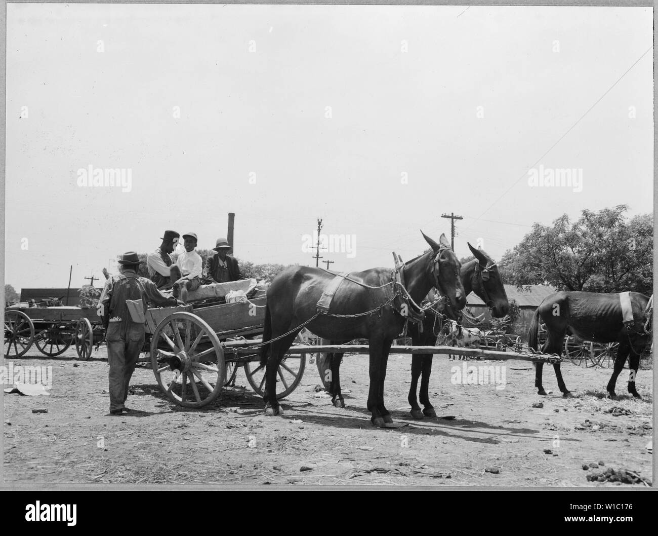 Coosa Valley, Alabama. Farmers' hitching ground - Saturday at Talladega ...