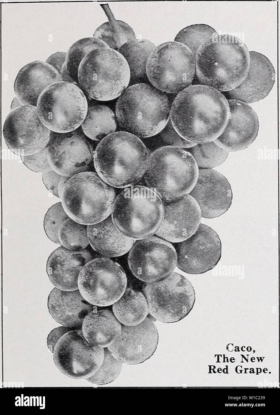 Archive image from page 50 of Descriptive price list (1935 ...