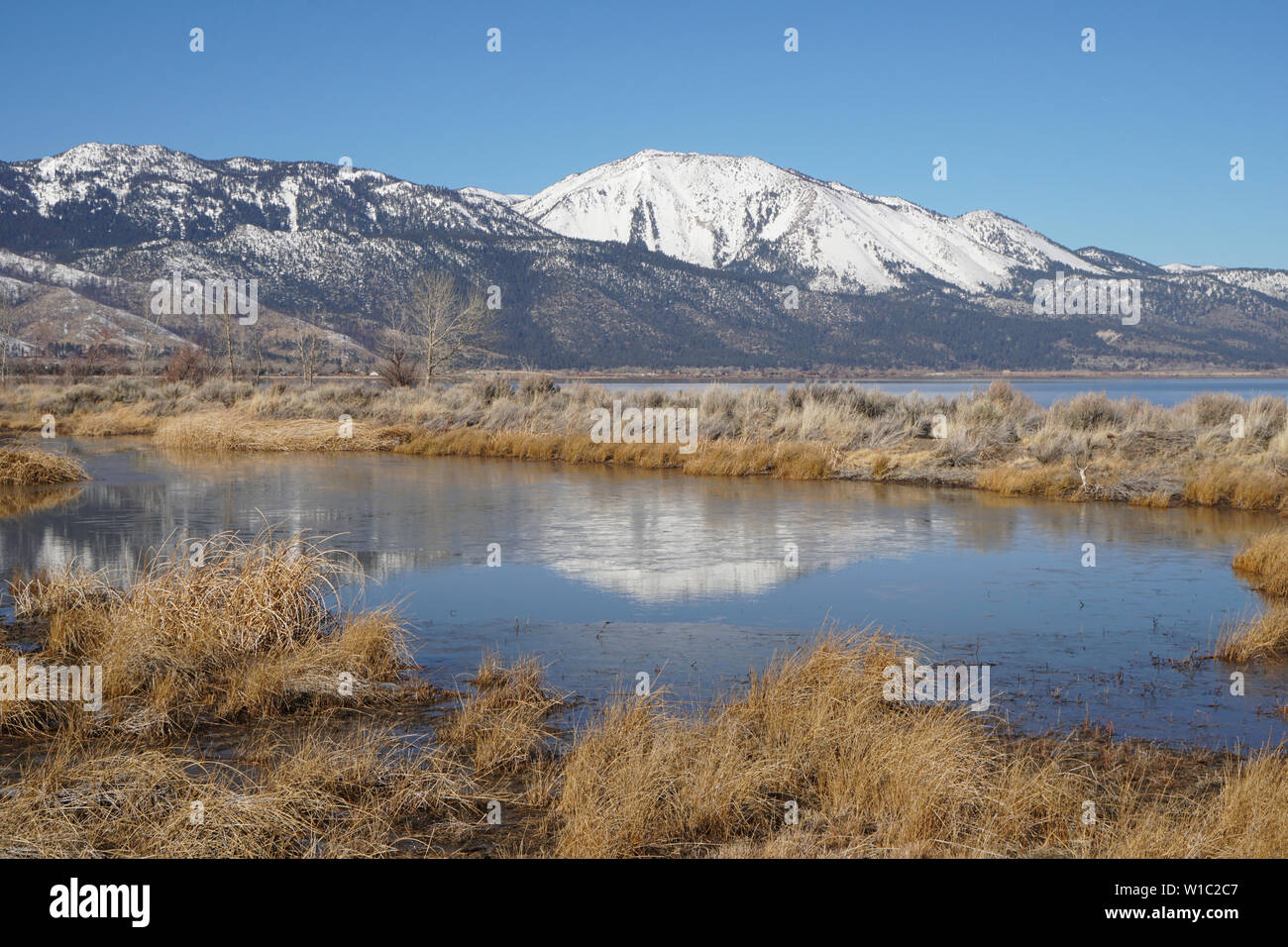 Slide Mountain reflecting in Washoe Lake, Nevada Stock Photo - Alamy