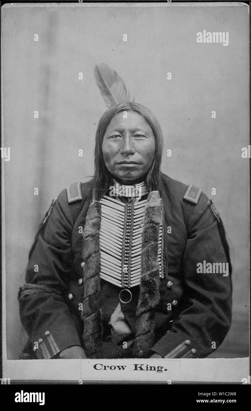 Crow King. With Gaul, a fighting chief of the Sioux in the Custer fight ...