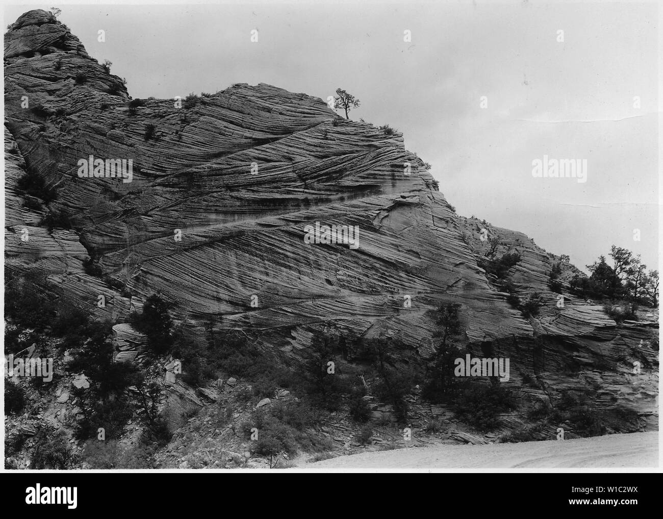 Crossbedding of sandstone near Mt. Carmel road, indicating wind action ...