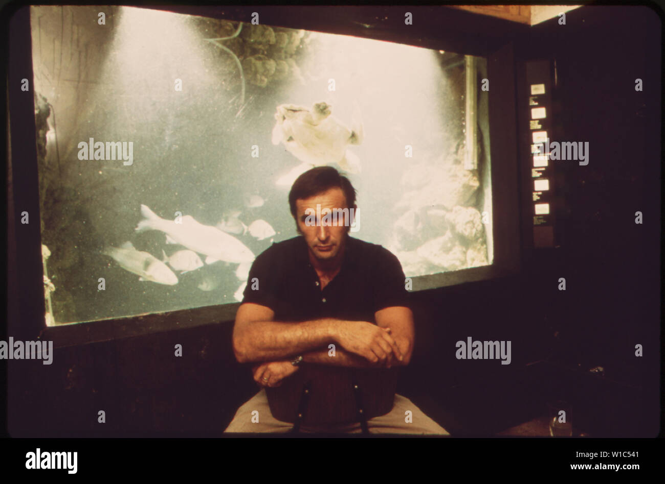 DR. BARTOLO OZRETIC, CHIEF OF THE AQUARIUM AT THE ROVENJ BRANCH OF THE ...