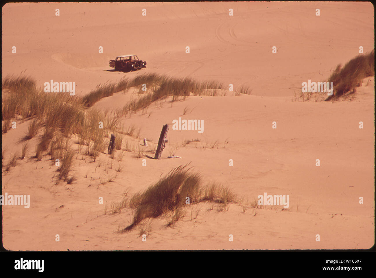 DUNE BUGGY IN NEW NATIONAL SEASHORE PARK, SIMPSON REEF Stock Photo - Alamy