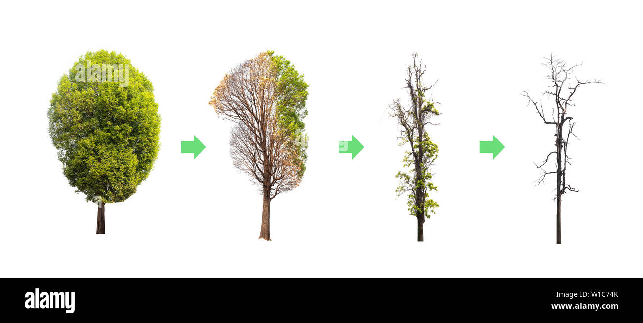 To convey Cut Out Stock Images & Pictures - Alamy