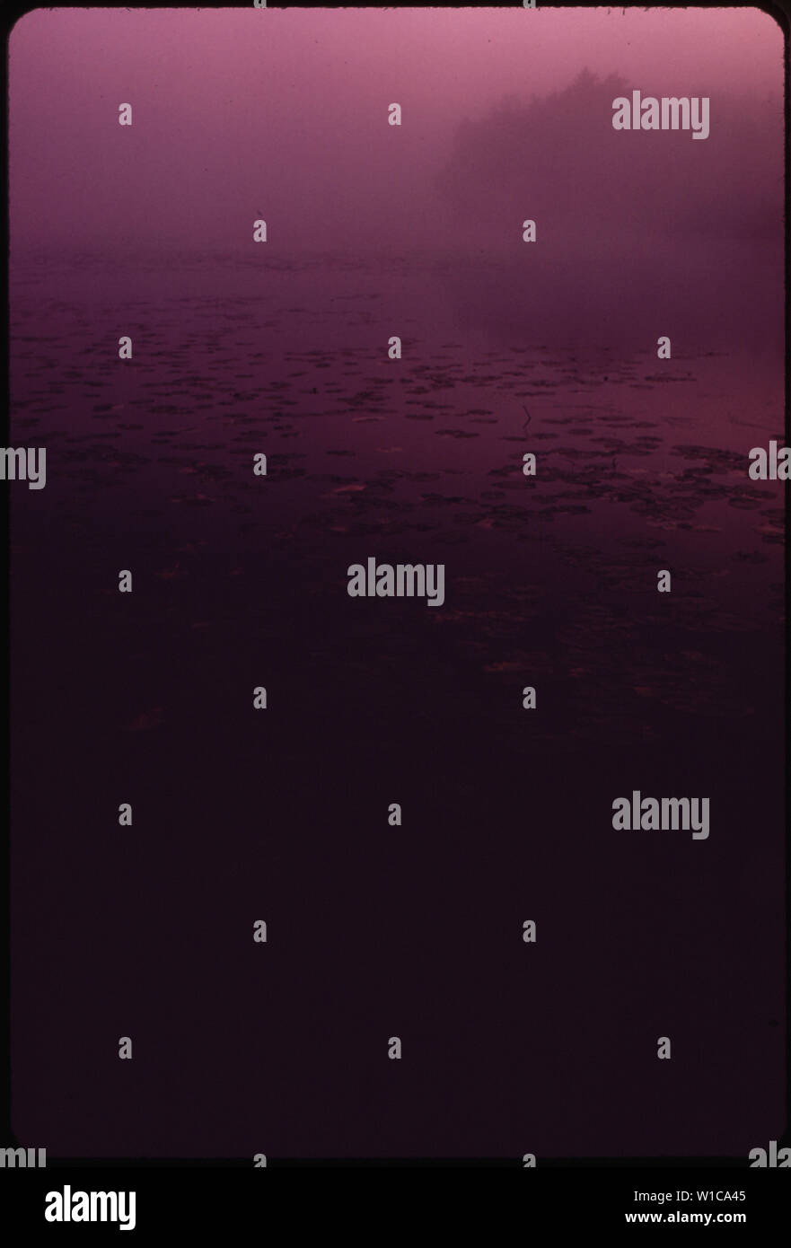 EARLY MORNING ON THUNDER LAKE--ONE OF THE MANY CONNECTED LAKES OF THE ...