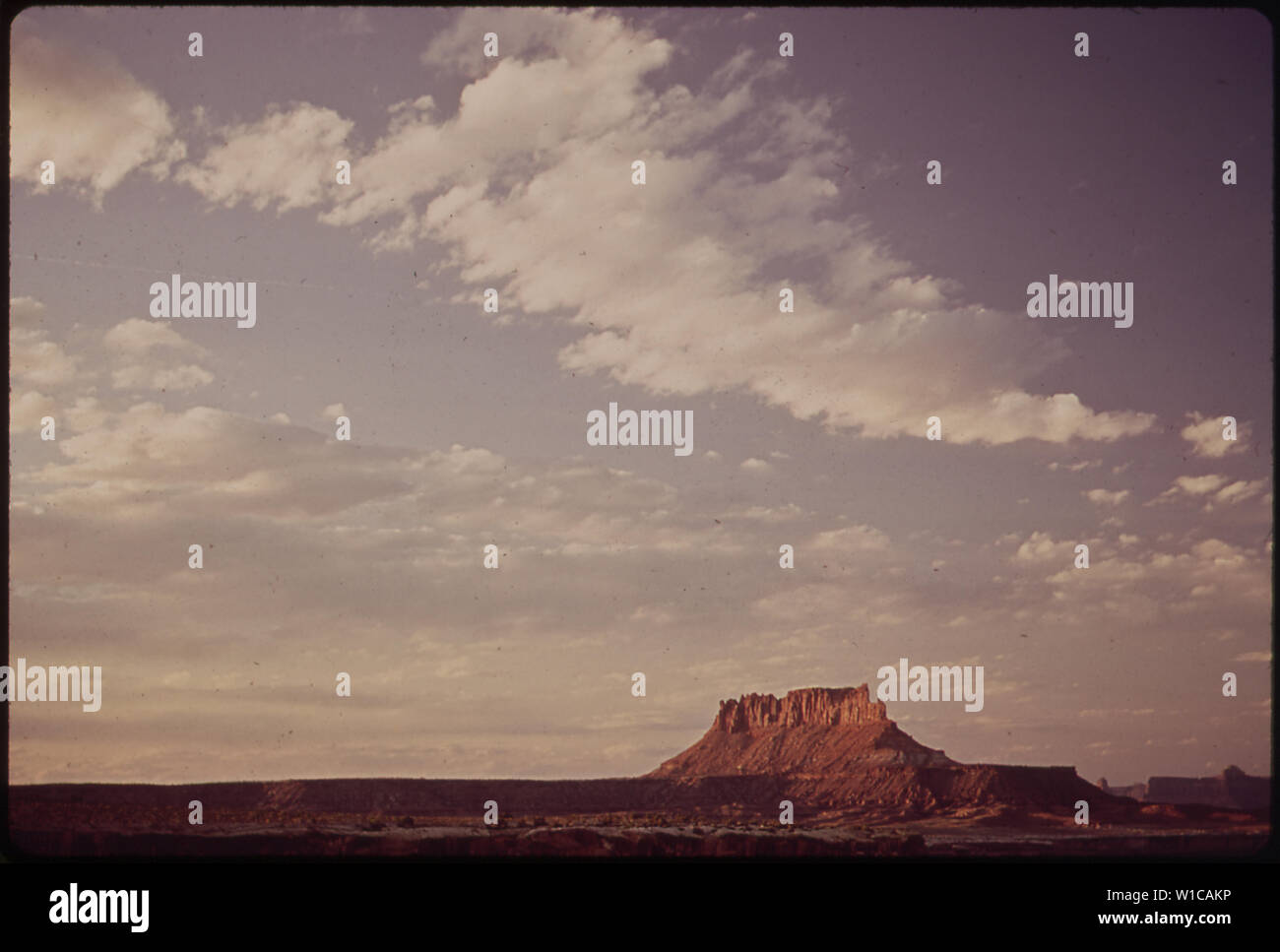 Bw feature hi-res stock photography and images - Alamy