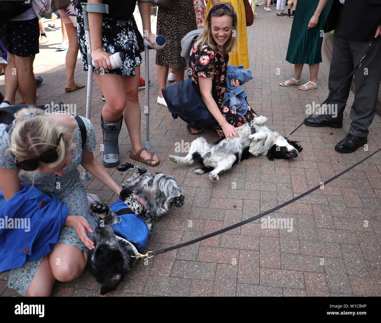 On day two wimbledon championships all england lawn tennis hi-res stock ...