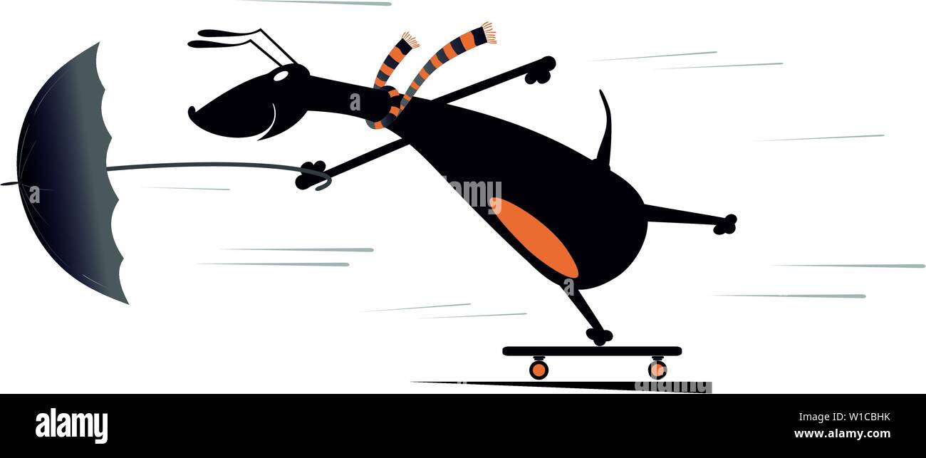 Cartoon dog a skateboarder isolated. Cartoon dachshund rides on ...