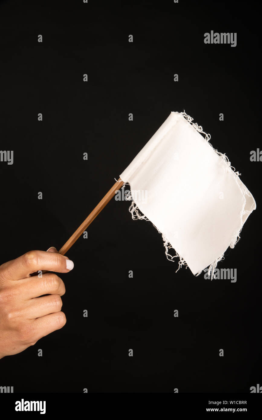 Female hand waving a white flag Stock Photo - Alamy