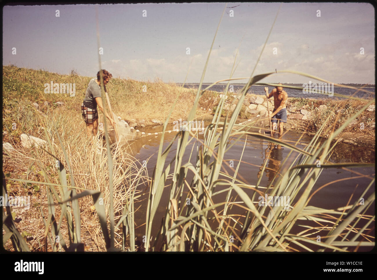 Seining in culture pond hi-res stock photography and images - Alamy Seining in culture pond hi-res stock photography and images - Alamy