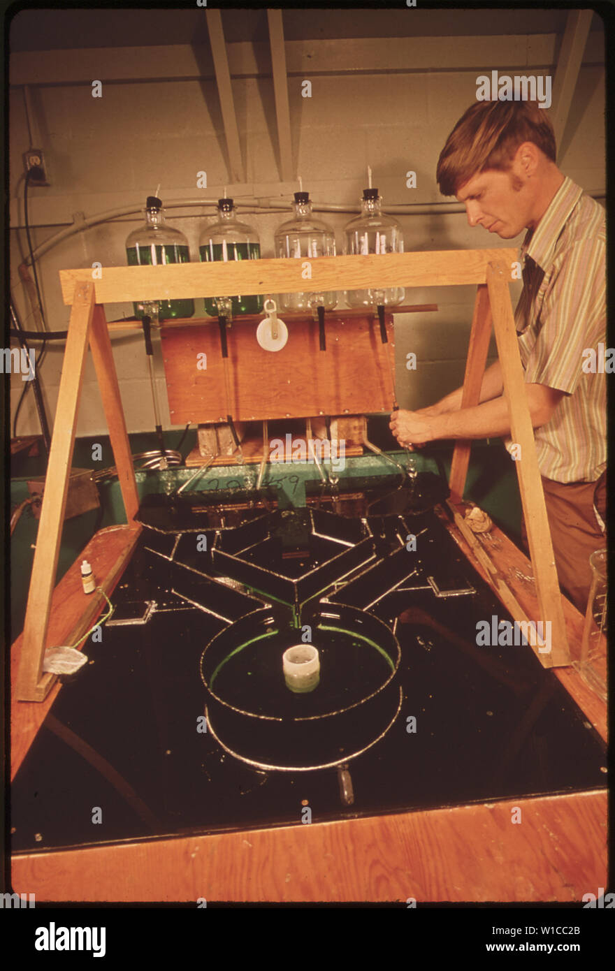 EPA GULF BREEZE LABORATORY: BIOASSAY WET LAB. DAVID HANSEN AQUATIC ...