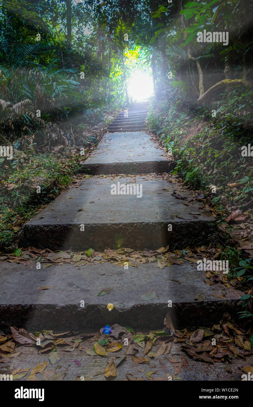 Hiking to the Light Stock Photo - Alamy