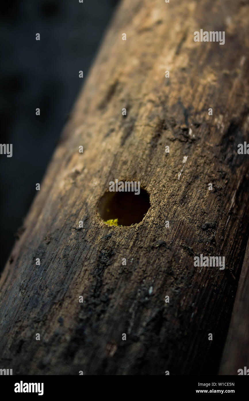 Peep holes hi-res stock photography and images - Alamy