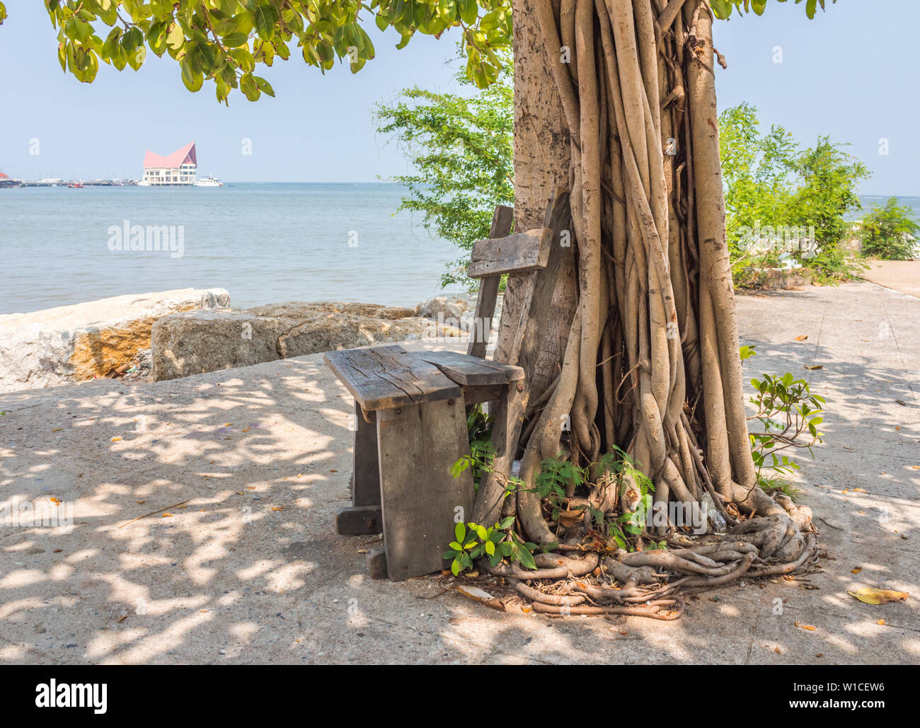 Beach chair under a tree Stock Photo - Alamy