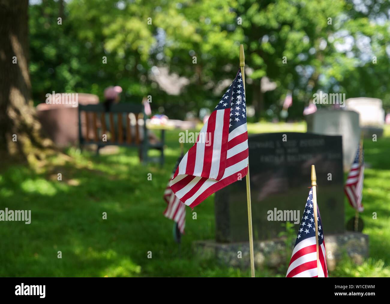 Man sitting under shade tree hi-res stock photography and images - Alamy