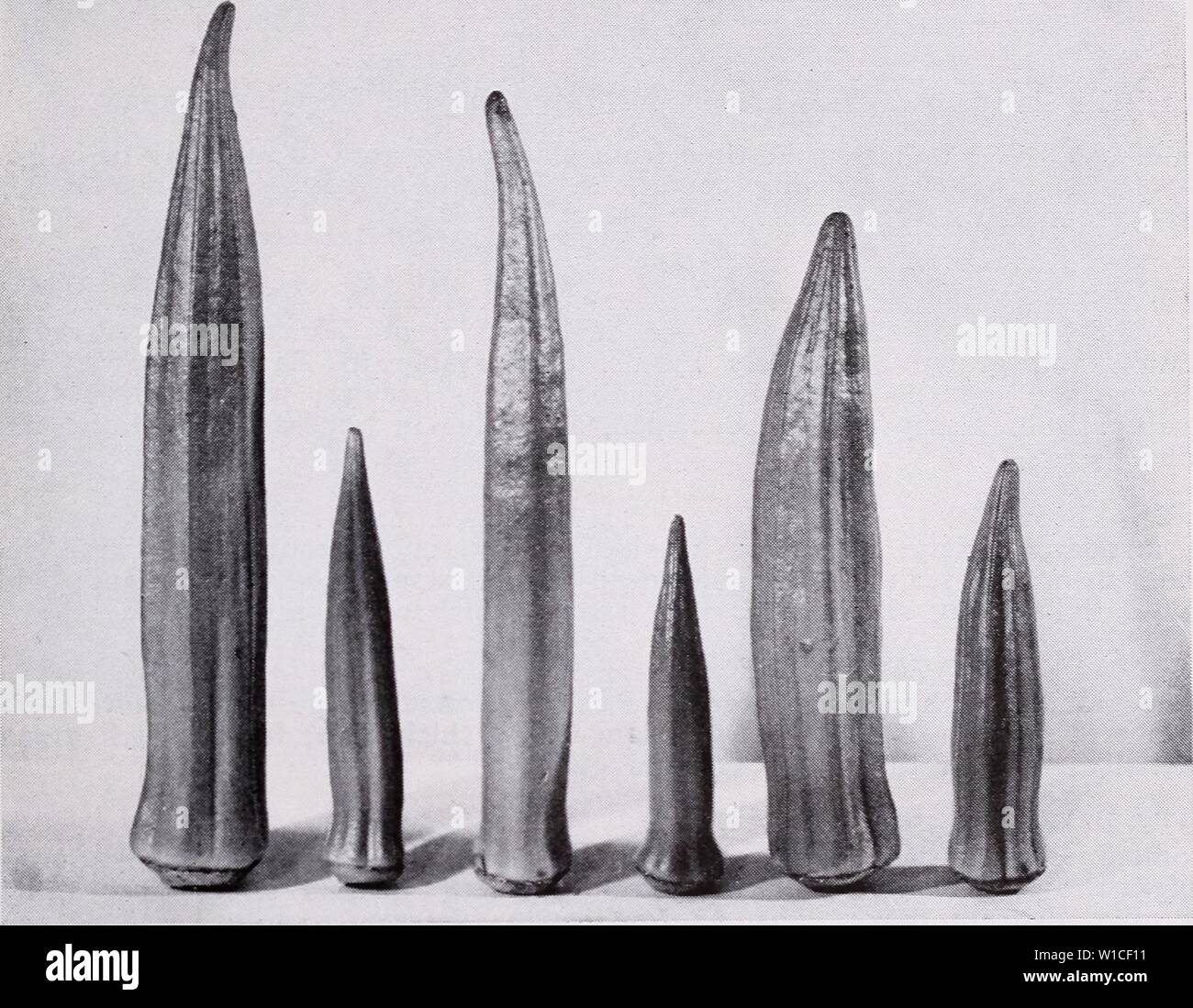 62 feet in height hi-res stock photography and images - Alamy