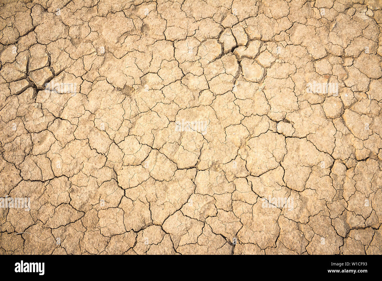 Soil fissures hi-res stock photography and images - Alamy