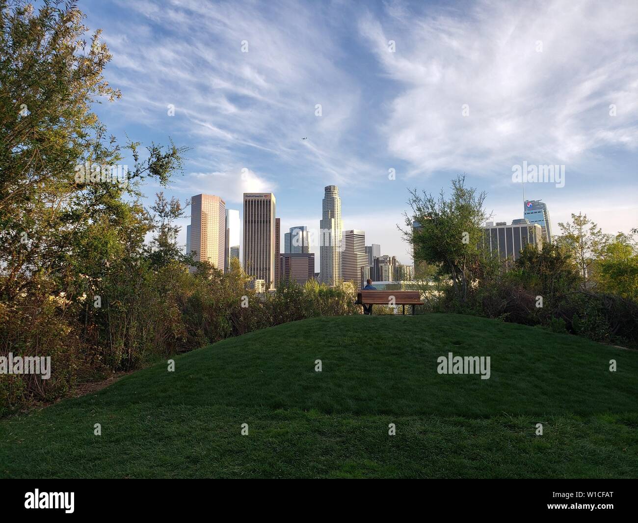 Spectacular view of downtown Los Angeles from a green park with a hill ...