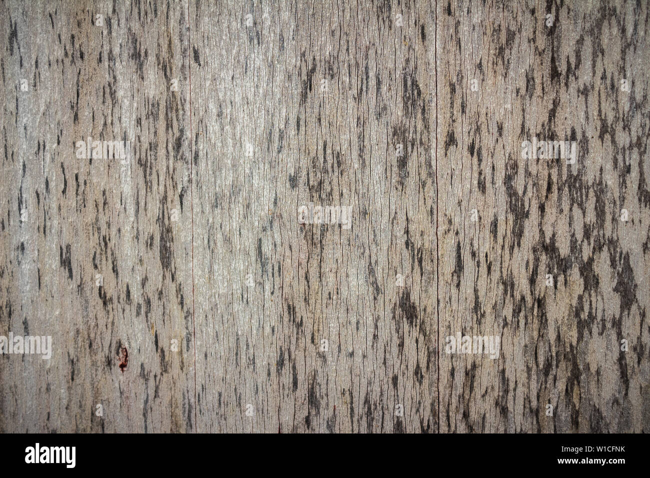 background rough wood Stock Photo - Alamy