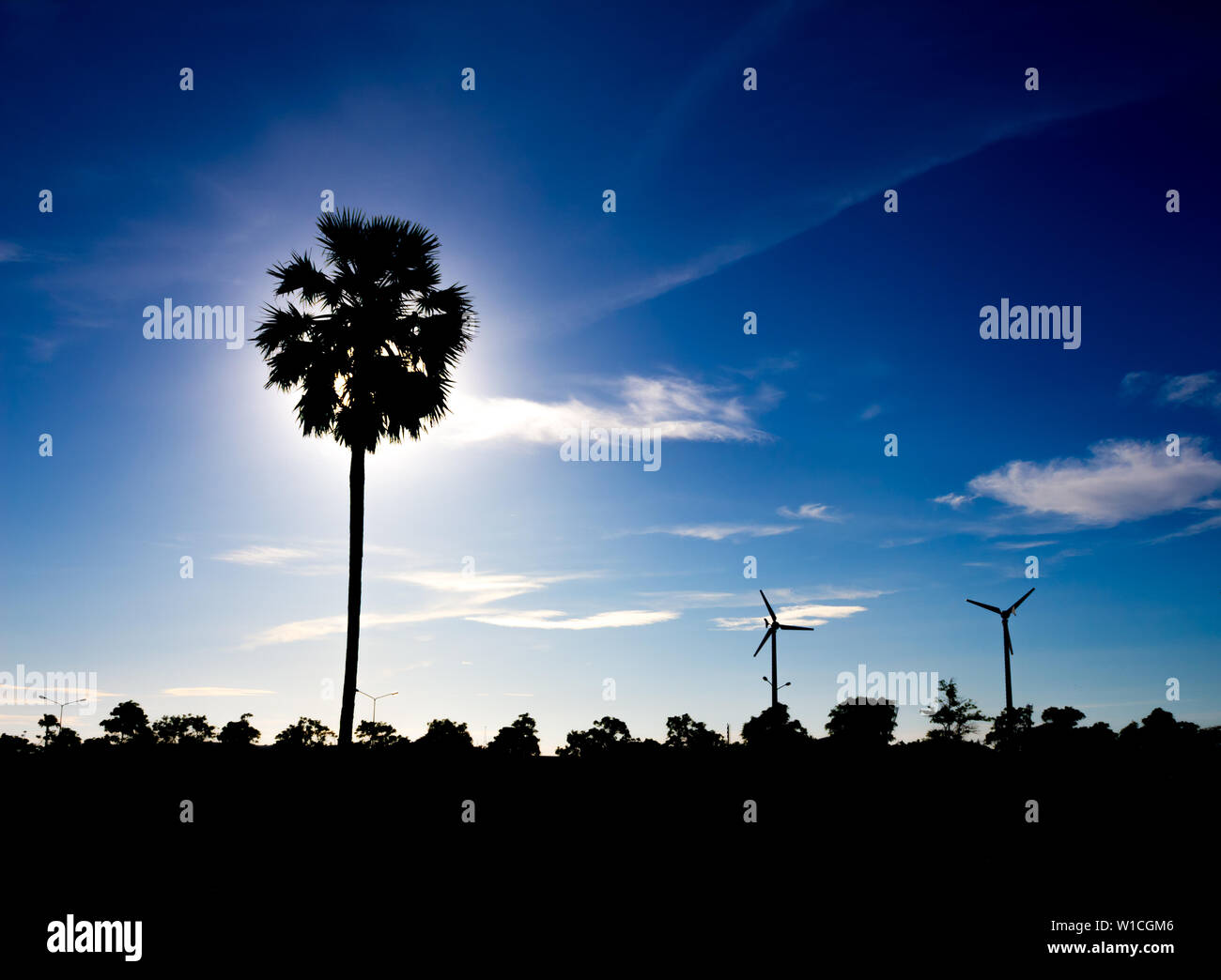 Freaky tree hi-res stock photography and images - Alamy