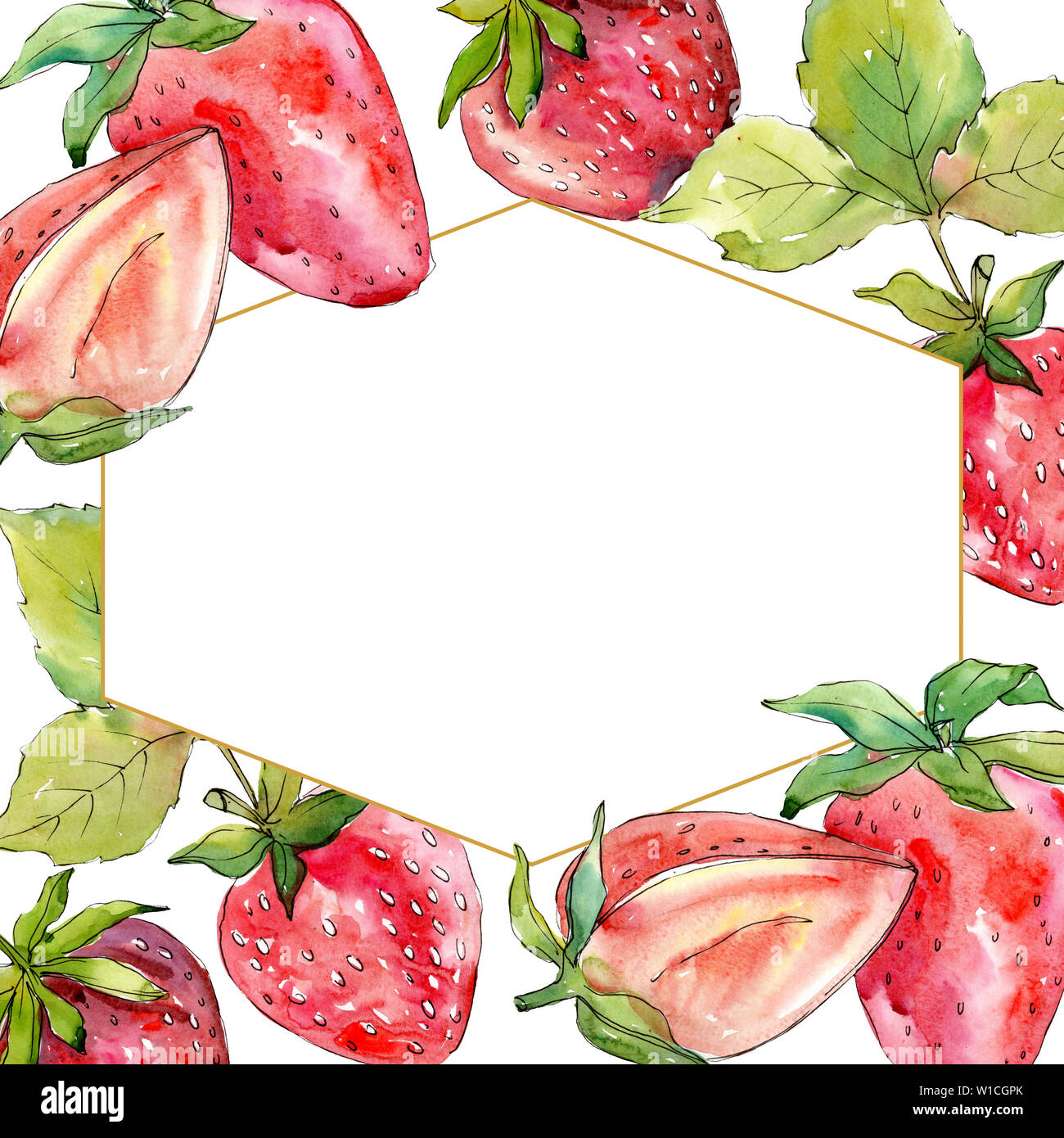 Healthy Food Borders