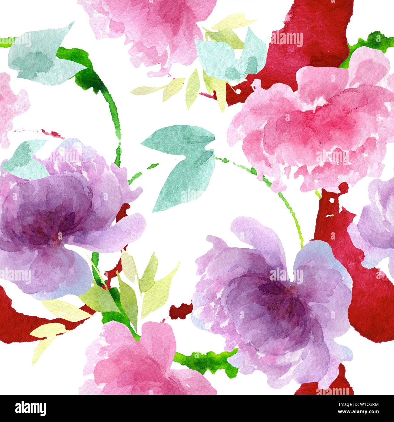 Peony floral botanical flowers. Watercolor background illustration set ...