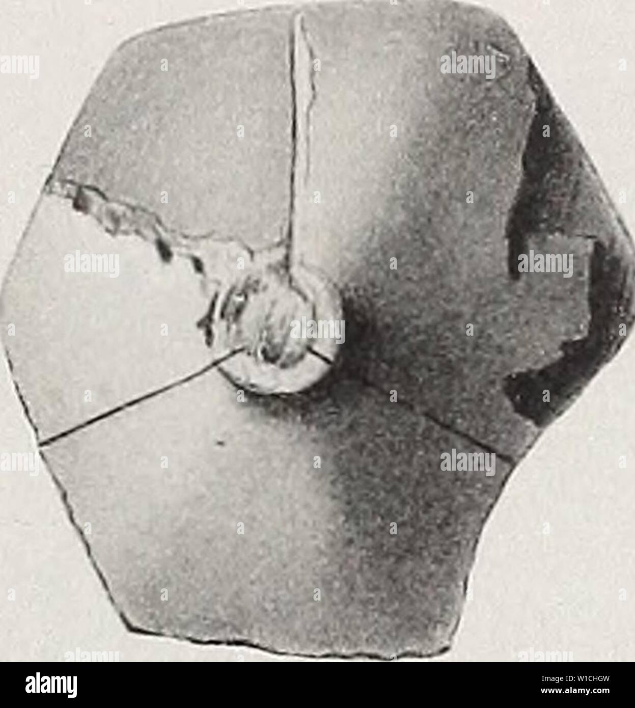 Archive image from page 658 of The Devonian crinoids of the Stock Photo ...