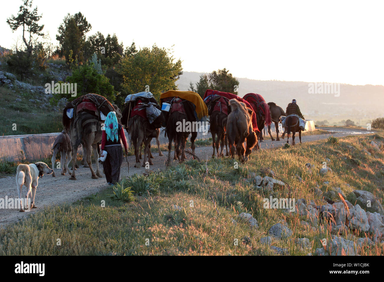 Ancient Nomadic People
