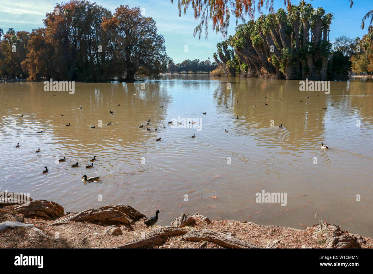 Colton graffiti hi-res stock photography and images - Alamy