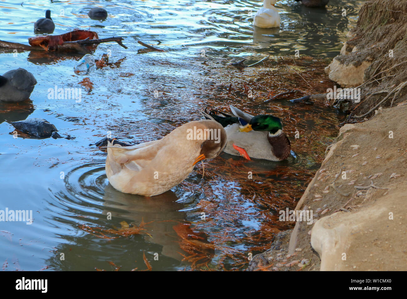 Colton graffiti hi-res stock photography and images - Alamy