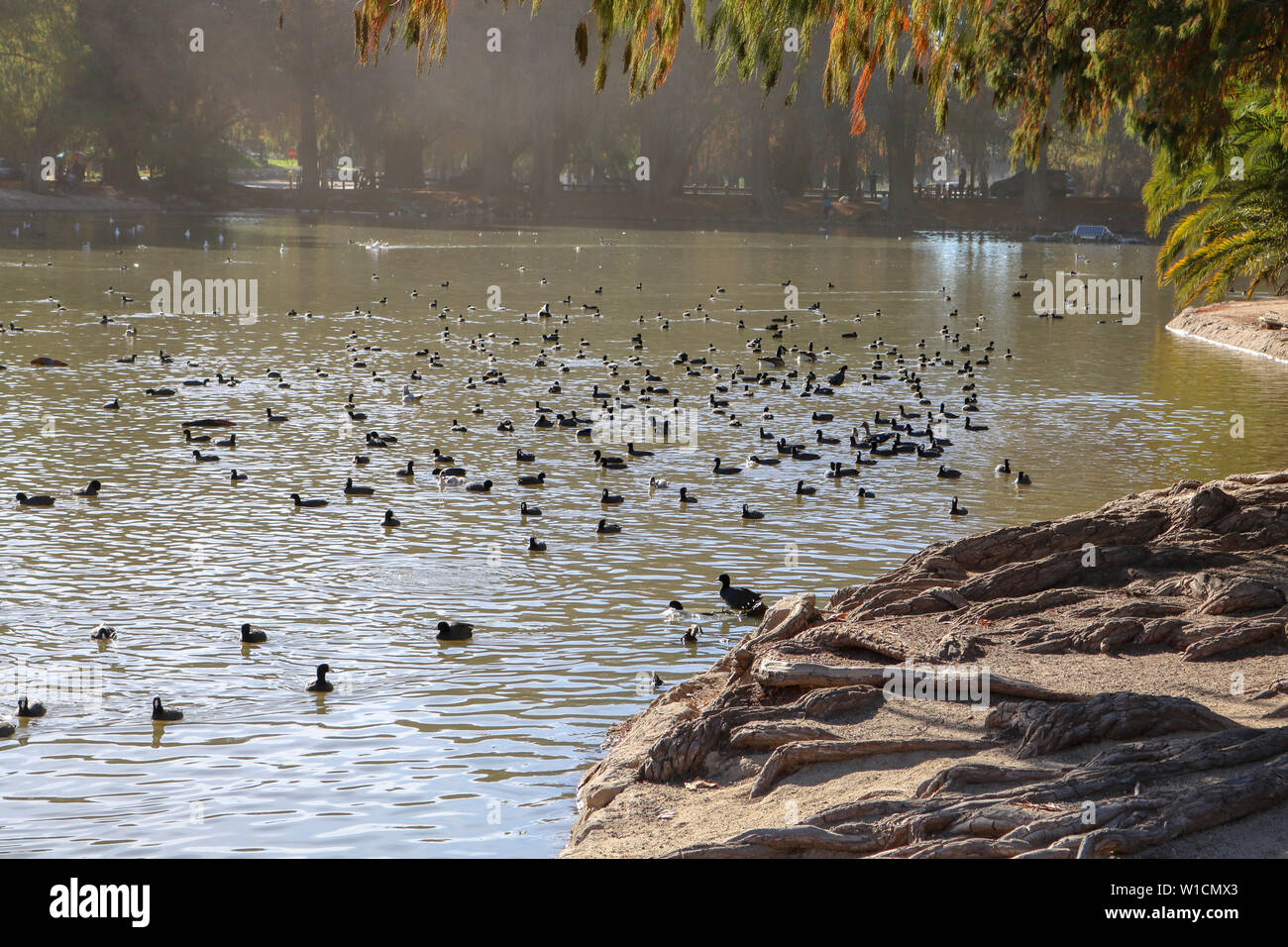 Colton graffiti hi-res stock photography and images - Alamy