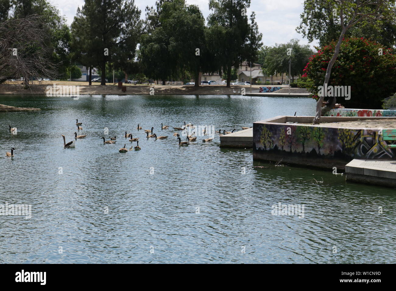 Colton graffiti hi-res stock photography and images - Alamy