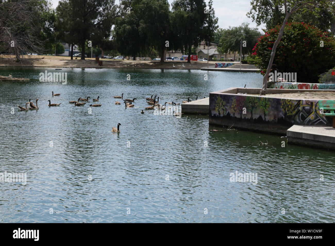 Colton graffiti hi-res stock photography and images - Alamy