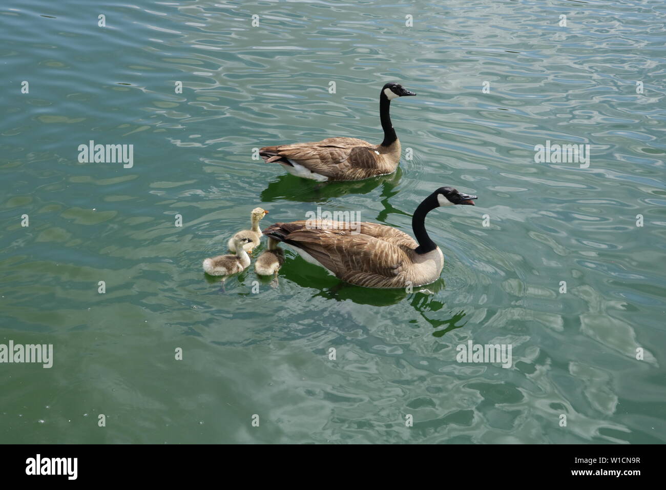 Colton graffiti hi-res stock photography and images - Alamy