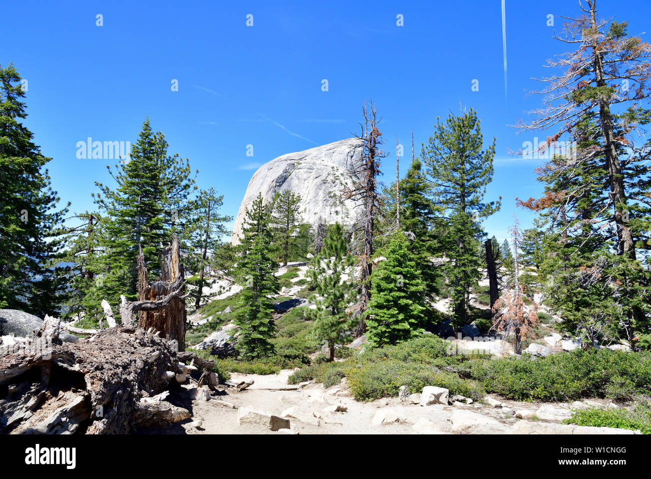 Dome base hi-res stock photography and images - Alamy