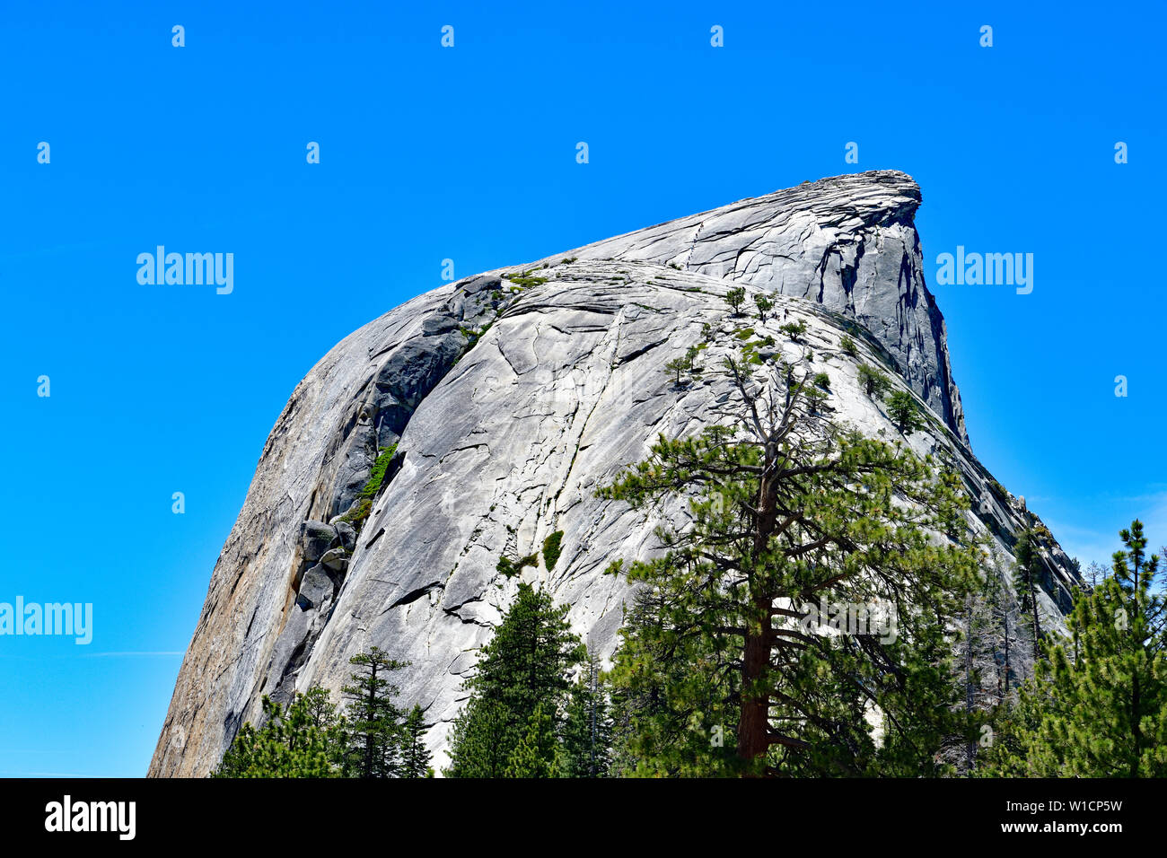 Half dome trail hi-res stock photography and images - Alamy