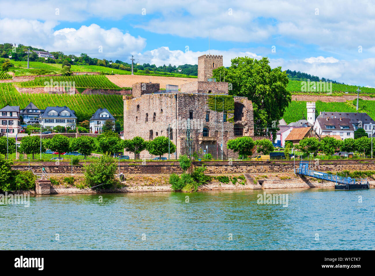 Rheingau Wine Museum, winery and vineyards in Rudesheim am Rhein town ...