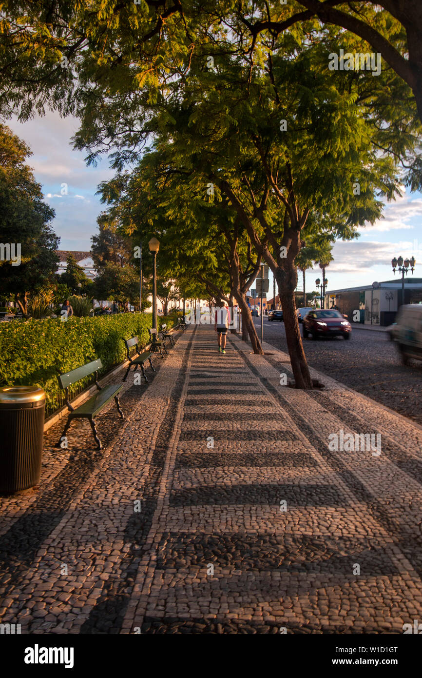 View of the beautiful Garden Manuel Bivar, in Faro, Portugal Stock ...