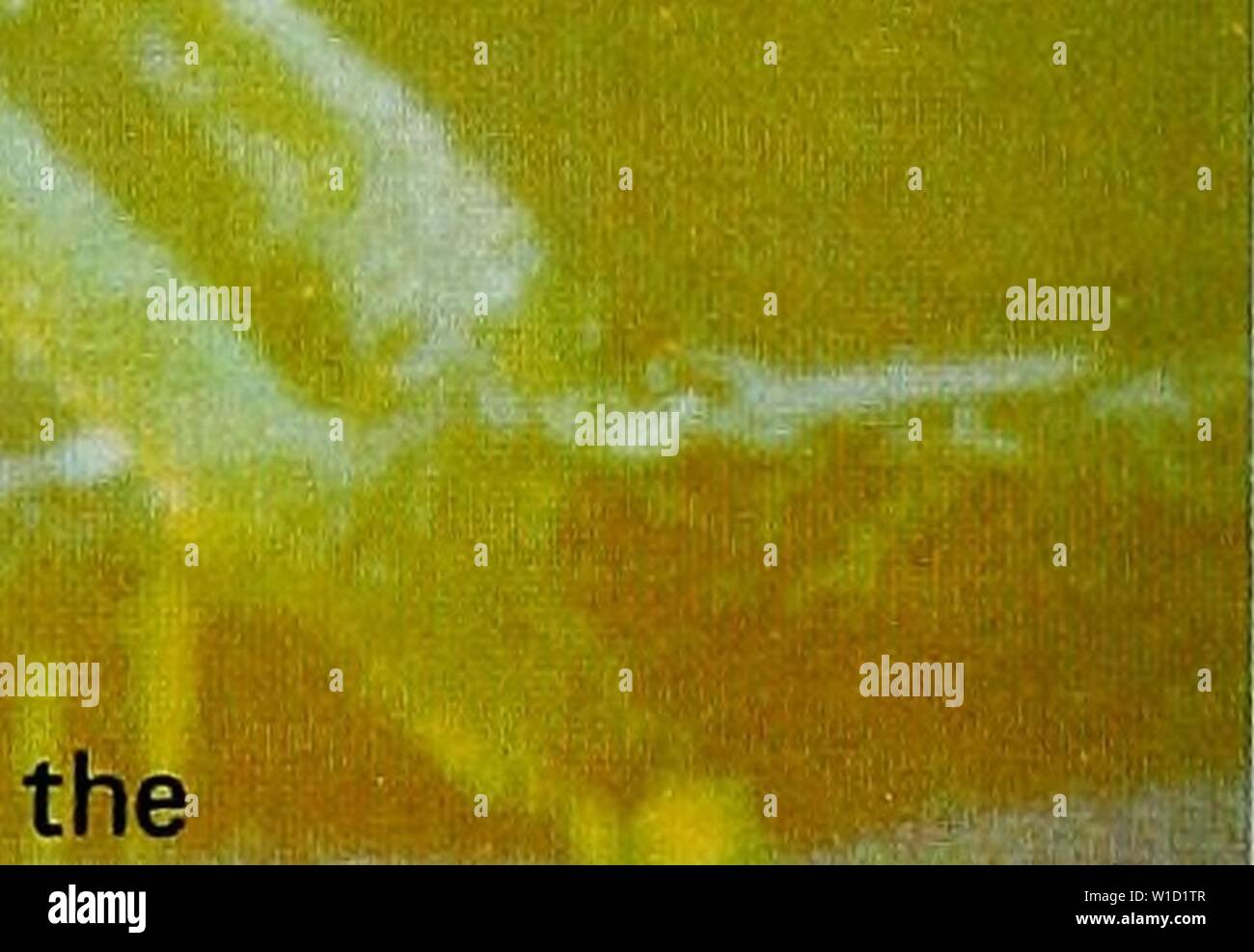 The hull note hi-res stock photography and images - Alamy