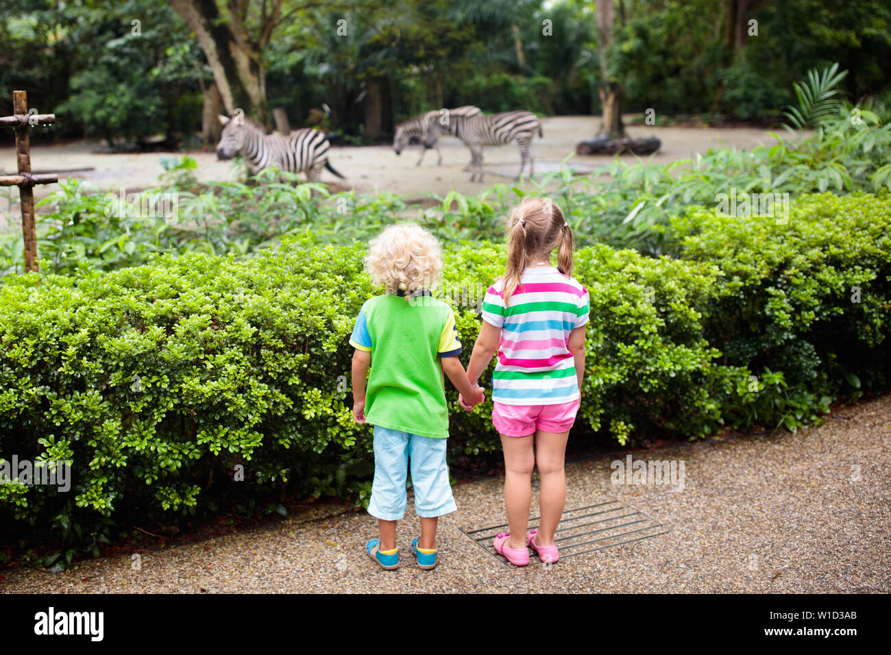 Family watching zebra in zoo. Boy and girl in tropical safari park ...