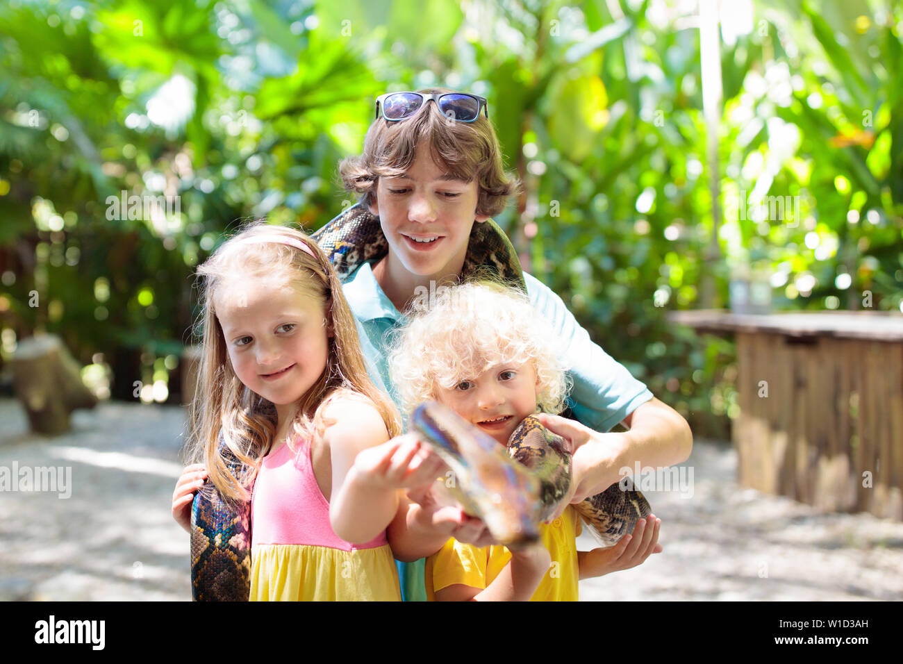 Kids holding python snake in tropical zoo. Children watching exotic ...