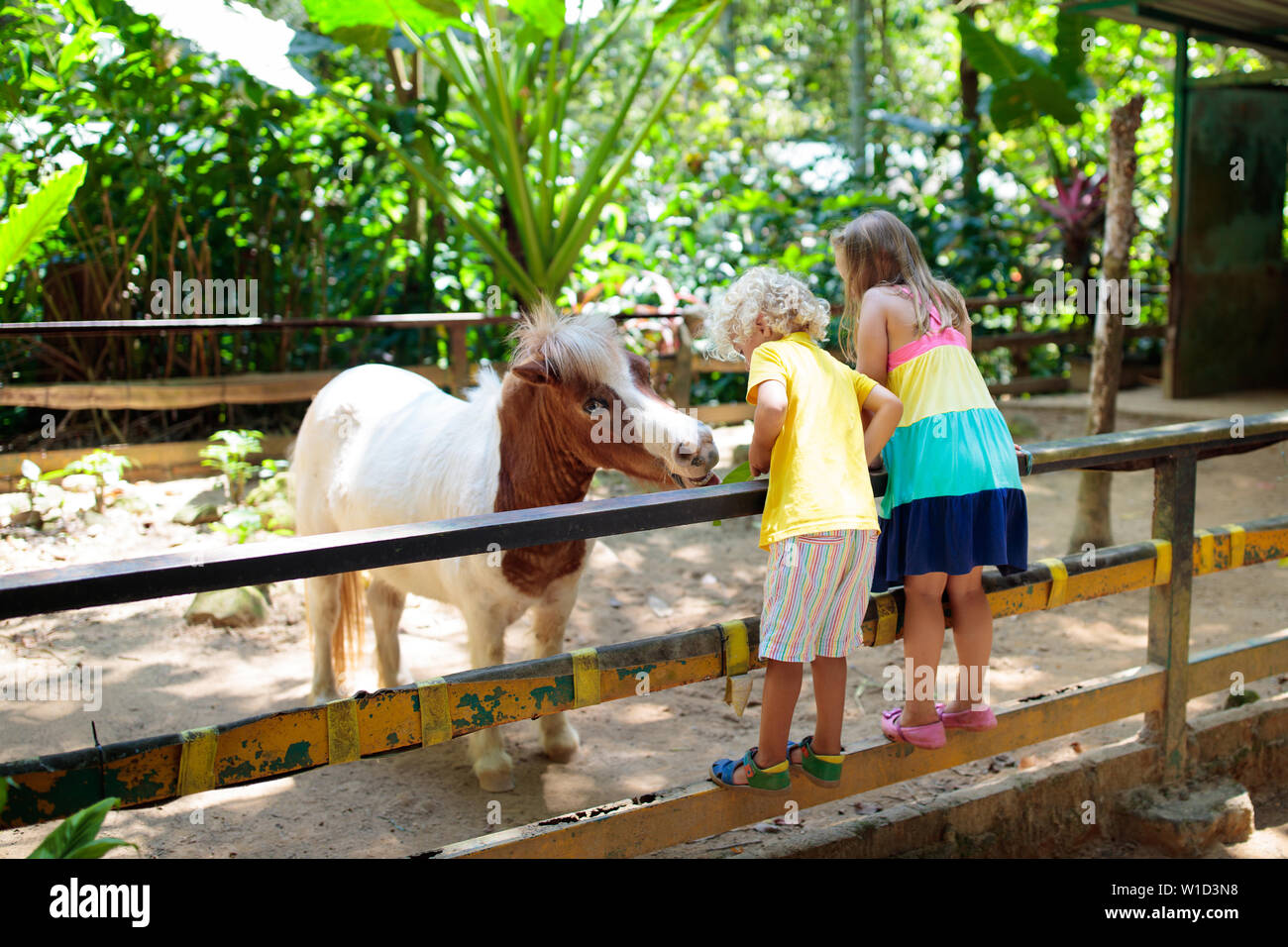 Little girl riding horse on summer vacation in country ranch. Kids ...