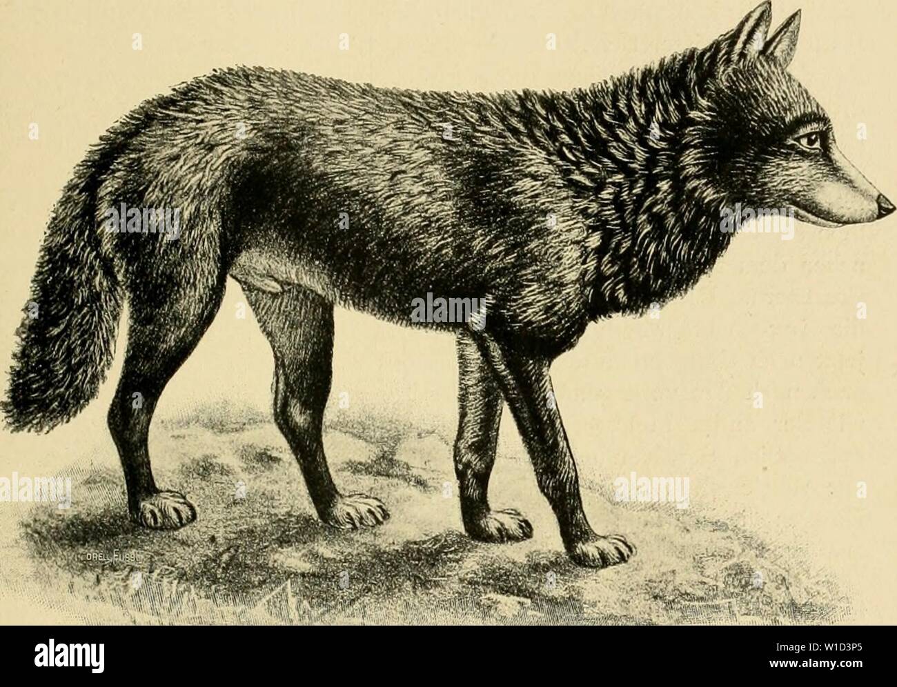 Nicht zuganglich hi-res stock photography and images - Alamy Nicht zuganglich hi-res stock photography and images - Alamy