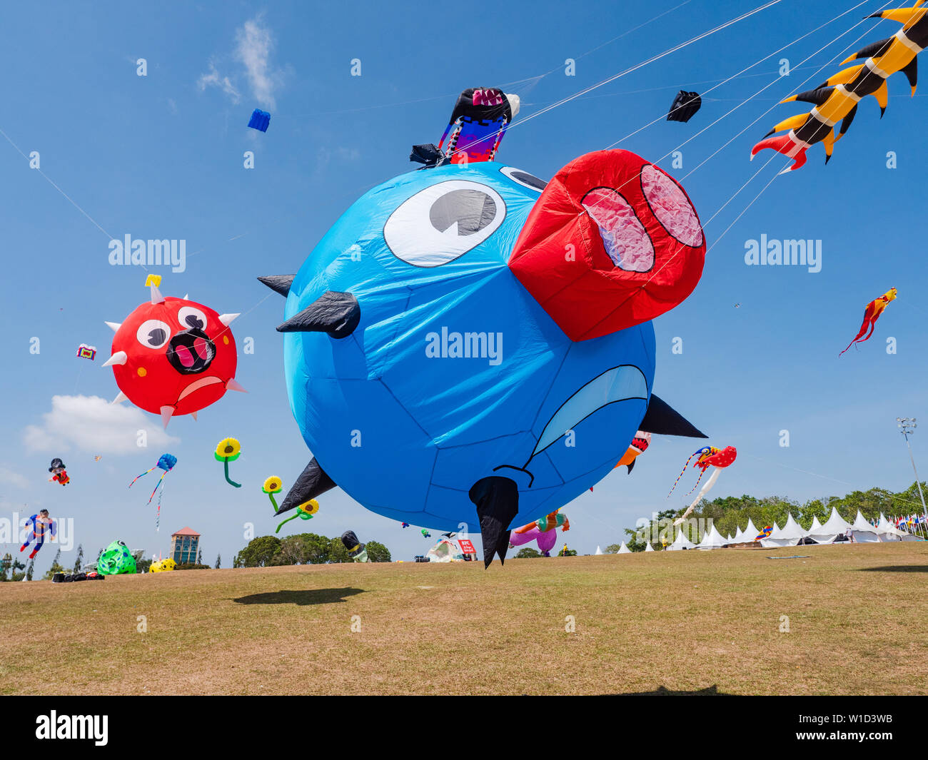 Flying pigs hi-res stock photography and images - Alamy