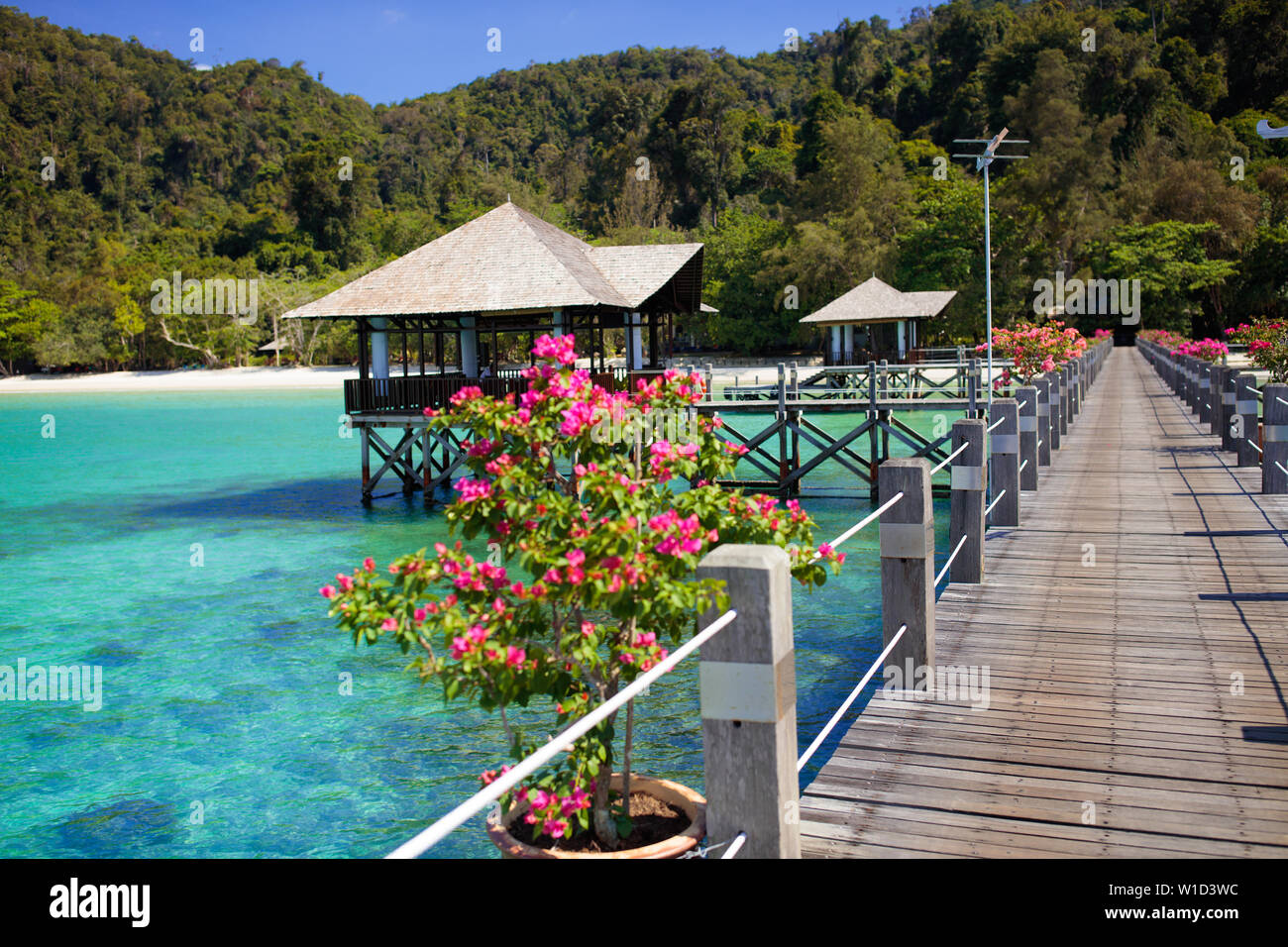 Coral reef island. Wooden jetty with exotic flowers and water villa ...