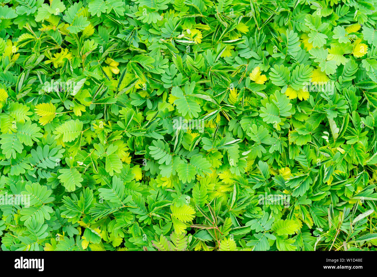 Solid surface top hi-res stock photography and images - Alamy